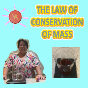 Worksheet: Conservation of Matter in Chemical Reactions MS-PS1.B-2 ...