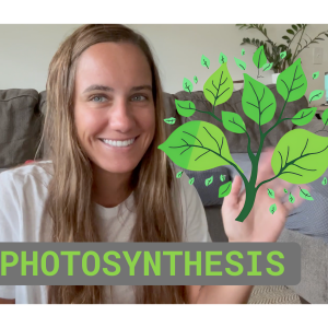 Lesson: Plants vs CO2 - Free Games, Assessments, and Videos - Legends ...