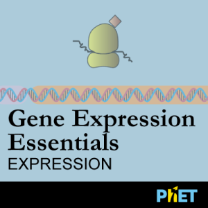 Lesson: Advanced Simulations - Life Science AS.LS - Free Games and ...