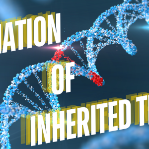 Practice: The Slime Races - Free Games, Assessments, and Videos ...