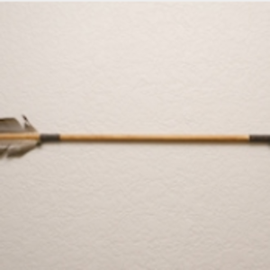 Game Based Learning: Human Life Without Current Technology 2.ETS2-2 ...