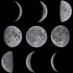 Free Educational Games: Patterns of the Moon 4.8C - Assessments ...