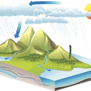 Teaching Plan: The Water Cycle MS-ESS2.C-1 - Assessments - Legends of ...