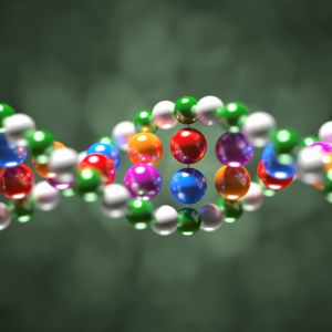 Teaching Plan: Genes and Traits MS-LS3.A-1 - Assessments - Legends of ...