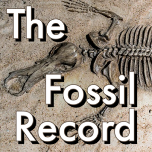 Worksheet: The Fossil Record - Free Games, Assessments, and Videos ...