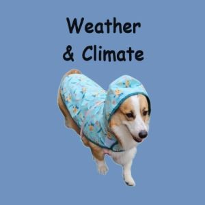 Game Based Learning: Weather and Climate K-ESS2.D-1 - Free Games and ...