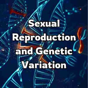 For Class: Sexual Reproduction and Genetic Variation - Free Games and ...