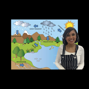 Free Homework Prep: Role of Sunlight and Gravity in the Water Cycle ...