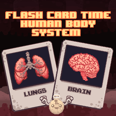 Flash Card Time: Human Body System - Free Learning Game | Free-Learning ...