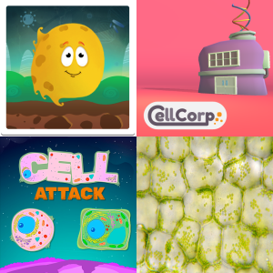 Lesson: Parts of the Cell - Plants vs. Animals MS-LS1.A-2b - Free ...