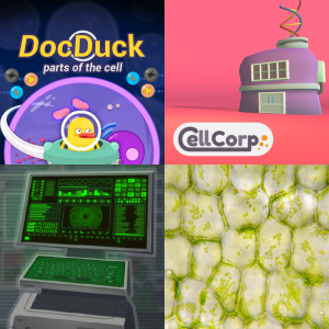 Lesson: Homeostasis and the Cell Membrane 7.LS1.2 - Free Educational ...