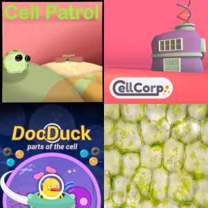 Lesson: Homeostasis and the Cell Membrane 7.LS1.2 - Free Educational ...