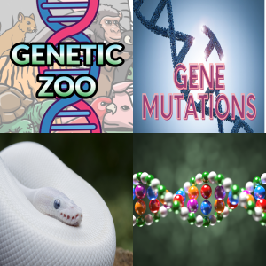 Free Educational Games: Genes and Traits MS-LS3.A-1 - Free Games ...