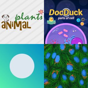 Lesson: Eukaryotic Cells - Free Games and Assessments - Legends of Learning