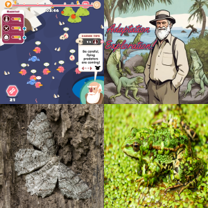 For Class: Adaptation MS-LS4.C-1 - Free Games and Videos - Legends of ...