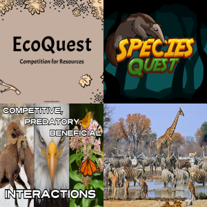 Free Educational Games: Interactions in Ecosystems 6.LS2.2 - Free Games ...
