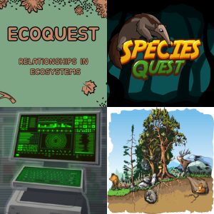 Free Educational Games: Ecosystem Organization 6.12F - Free Games and ...
