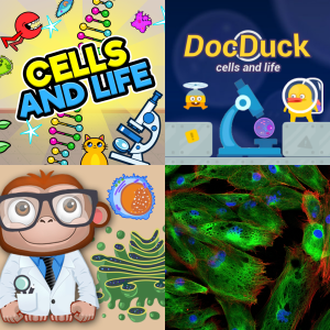 Student Lesson: Cell Theory SC.6.L.14.2 - Free Educational Games ...