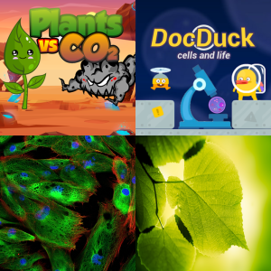 For Class: Photosynthesis MS-LS1.C-1 - Free Educational Games - Legends ...