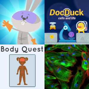 For Class: Cell Theory SC.6.L.14.2 - Free Games and Assessments ...