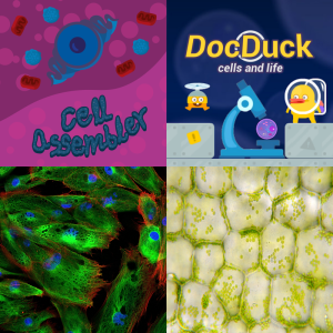 Free Homework Prep: Parts of the Cell - Plants vs. Animals MS-LS1.A-2b ...