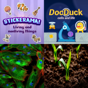 Lesson: Living vs Nonliving - Free Educational Games - Legends of Learning