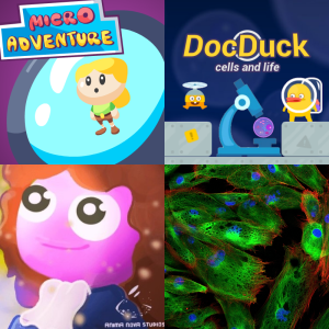 Worksheet: Cell Theory LS.2a - Free Games and Assessments - Legends of ...