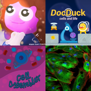 Game Based Learning: Parts of the Cell - Plants vs. Animals MS-LS1.A-2b ...