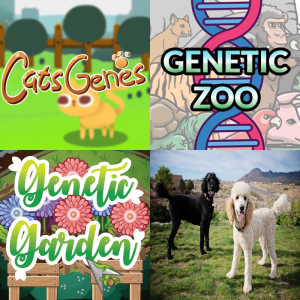 Free Educational Games: Sexual Reproduction and Genetic Variation MS ...