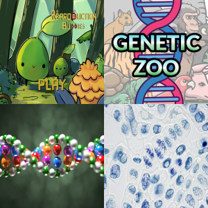 Student Lesson: Reproduction and Gene Transfer MS-LS1.B-4 - Free Games ...