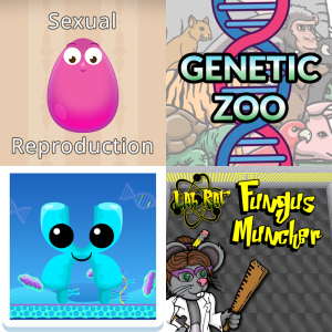 For Class: Sexual Reproduction and Genetic Variation 7.14B - Free ...