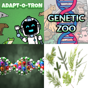 For Class: Adaptations and Genetics - Free Games and Assessments ...