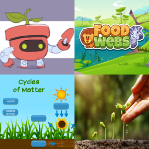 Free Educational Games: Plant Growth ES-LS1.C-2 - Free Games and ...