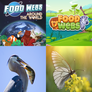 Game Based Learning: Producers, Consumers, and Decomposers S4L1.a ...