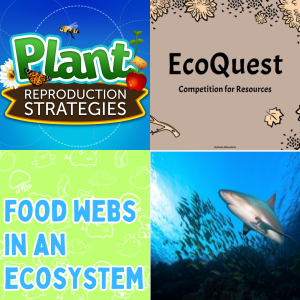 For Class: Food Webs in an Ecosystem - Free Games, Assessments, and ...