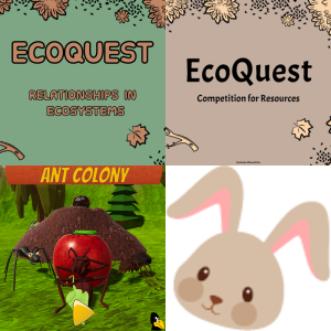 Free Educational Games: Balance of Biodiversity and Human Resources 6 ...