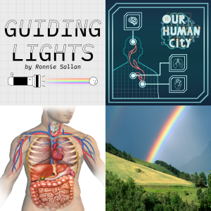 Lesson: Game Assignment Guiding Lights - Free Educational Games ...