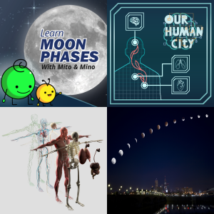 Free Lesson: Lunar Phases 8.7B - Free Educational Games - Legends of ...