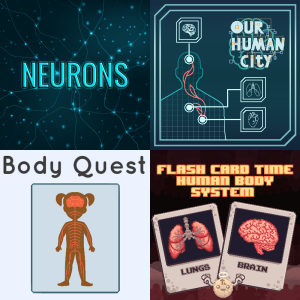 Game Based Learning: Human Body Systems 7.12B - Free Educational Games ...