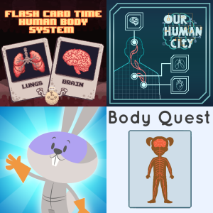 Free Educational Games: Multicellular Organisms and their Subsystems MS ...