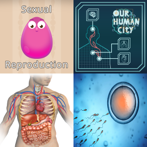 Lesson: Sexual Reproduction and Genetic Variation MS-LS3.B-1 - Free ...
