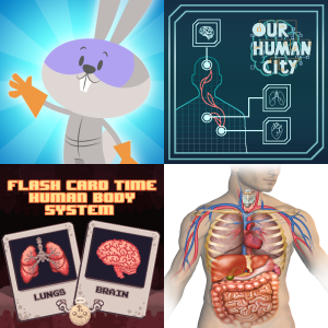Practice: Y8 - Human Body Systems - Free Educational Games - Legends of ...