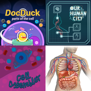 Free Educational Games: Structures and Functions of Plant and Animal ...