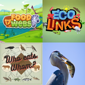 Worksheet: Who eats whom? - Free Games and Videos - Legends of Learning