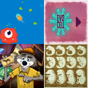 Student Lesson: Embryological Evidence for Common Ancestry MS-LS4.A-3 ...