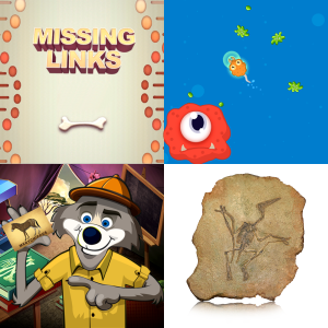 Free Lesson: Reconstructing Evolutionary History Using Fossils MS-LS4.A ...