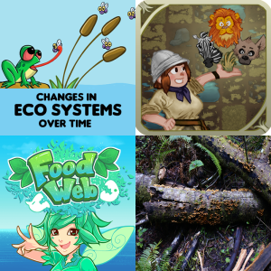 Lesson: Energy Flows Through A Carbon Cycle 8.3.3 - Free Educational ...