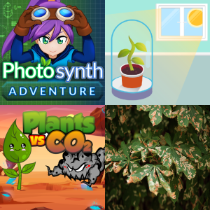 Student Lesson: How Plants Survive 6.L.5B - Free Games and Assessments ...