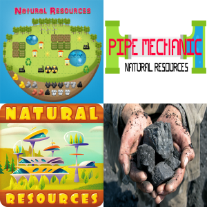 Practice: Natural Resources MS-ESS3.A-1 - Free Games and Assessments ...