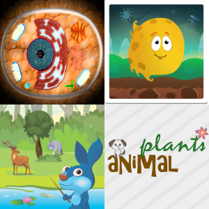 Game Based Learning: Structures and Functions of Plant and Animal Cells ...